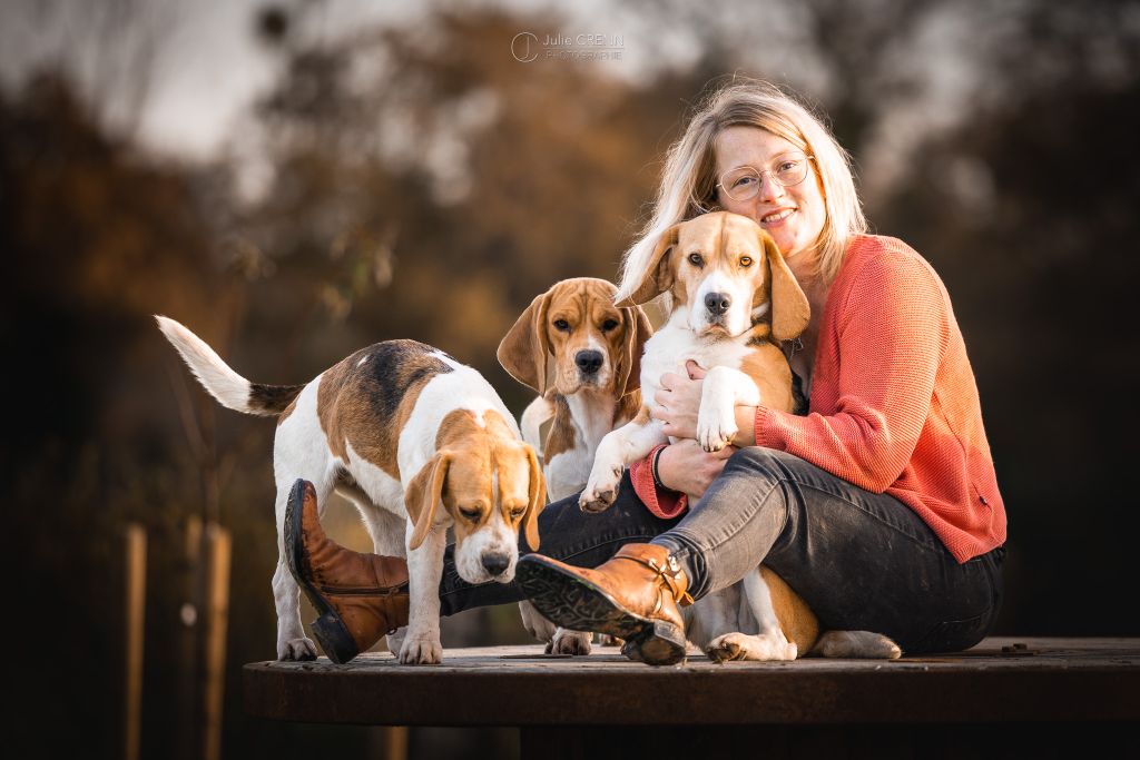 Accueil - Elevage Du Domaine Des Beagles - Eleveur de chiens de race Beagle